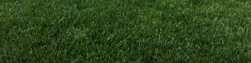 Our Sod | Ameri-Turf Sod and Landscape Supply
